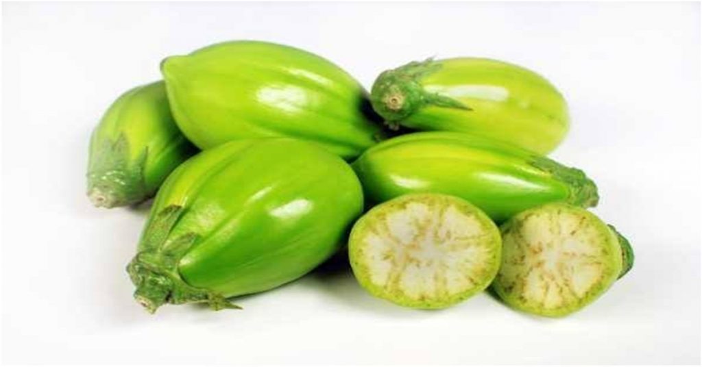 Conheça alguns benefícios do Jiló que provavelmente você não imagina